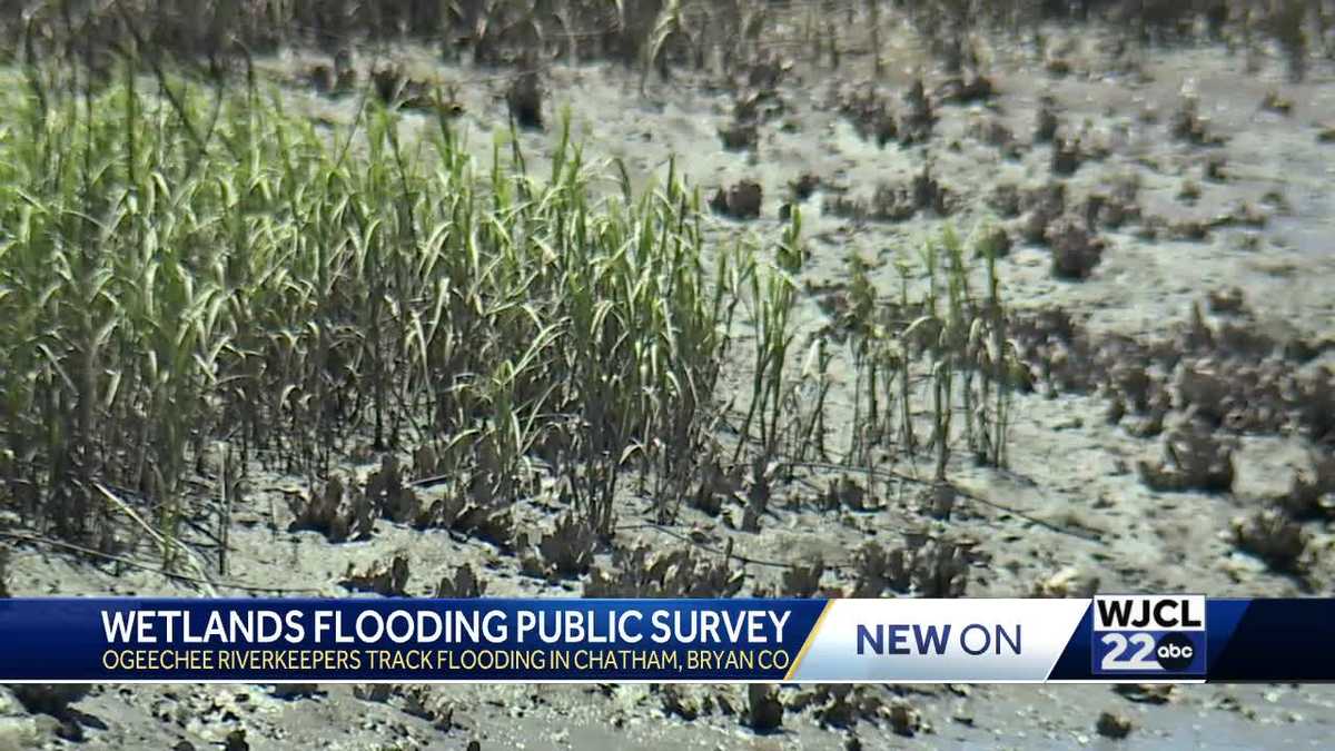 New survey to help track flooding patterns in the area