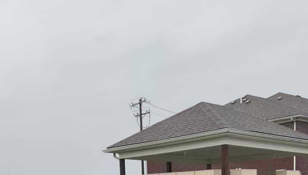 VIDEO: Massive snapping turtle crosses Jeffersonville parking lot