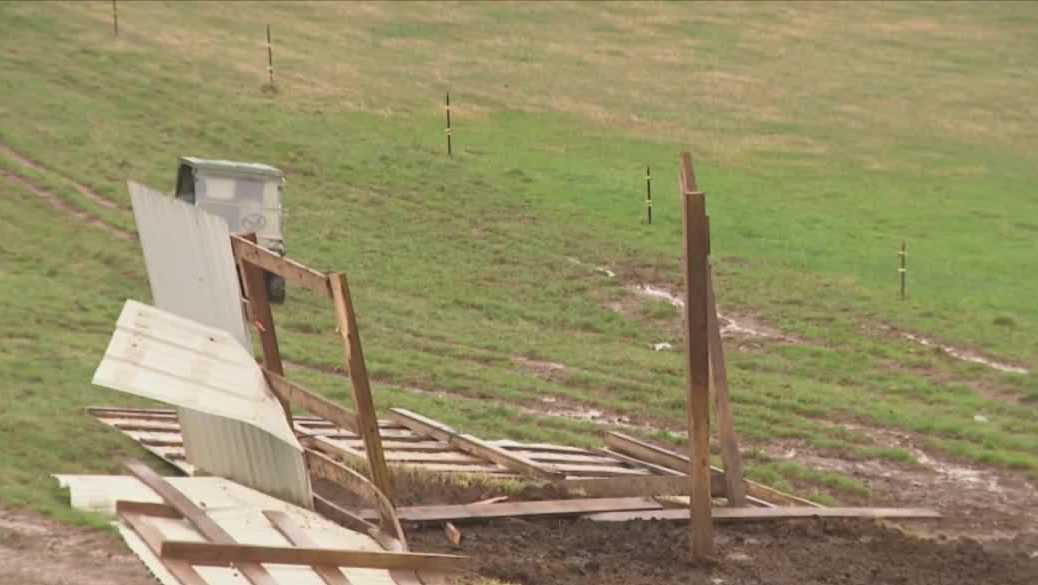 Worker says cattle scattered after storm blew roof off building
