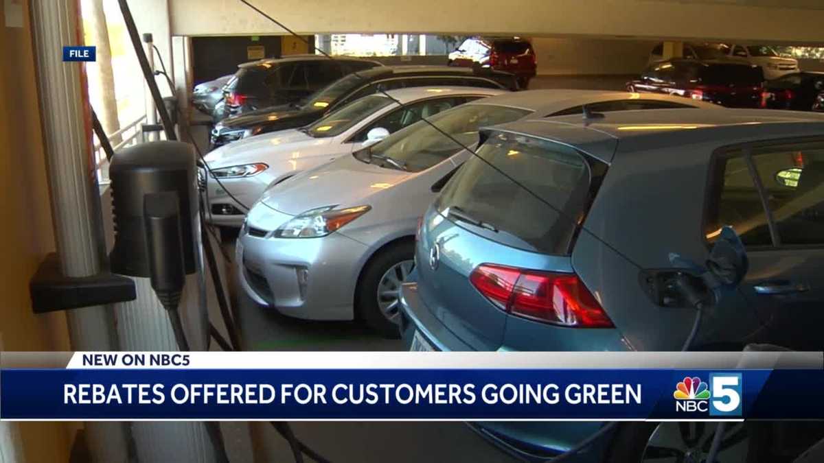 VPPSA debuts new online rebate platform