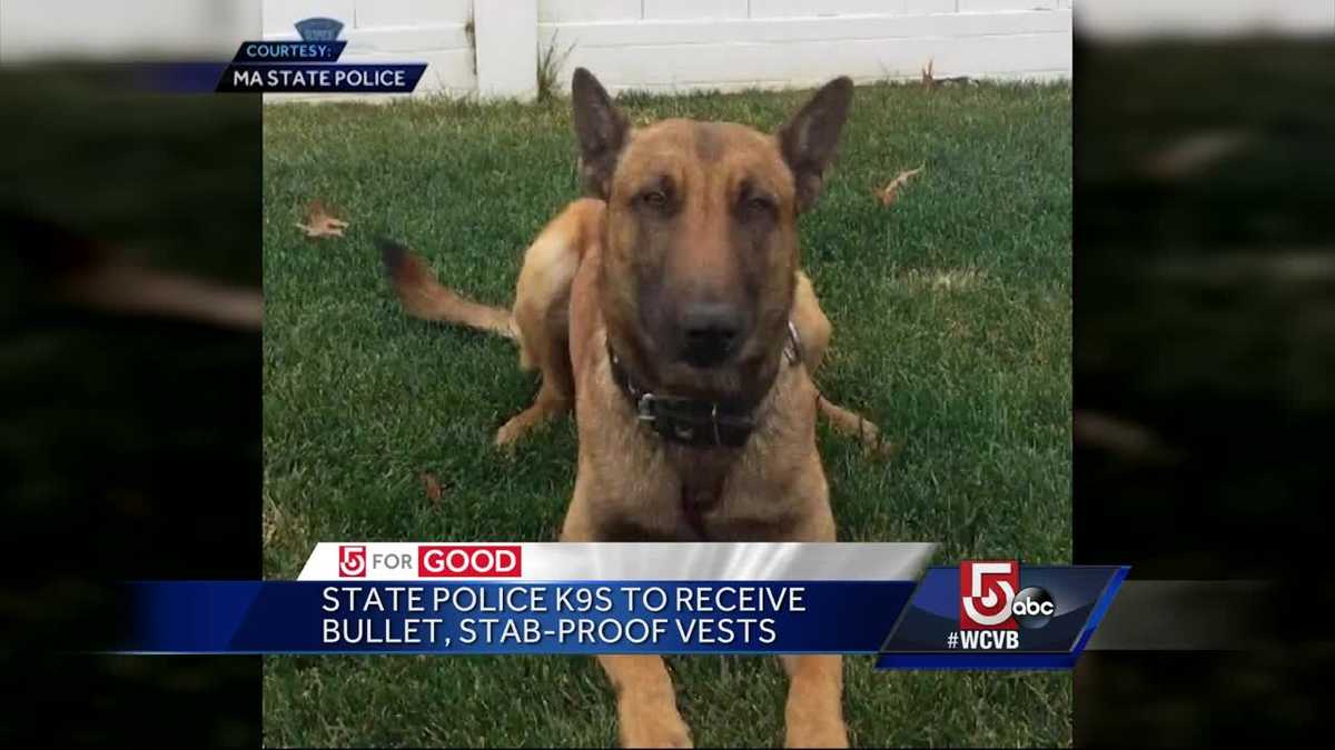 New protection for Massachusetts police K-9's
