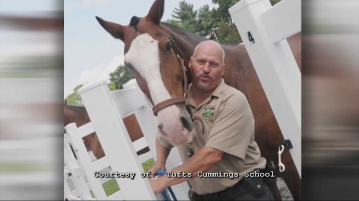 Only on 5: Stabbed park ranger released from hospital