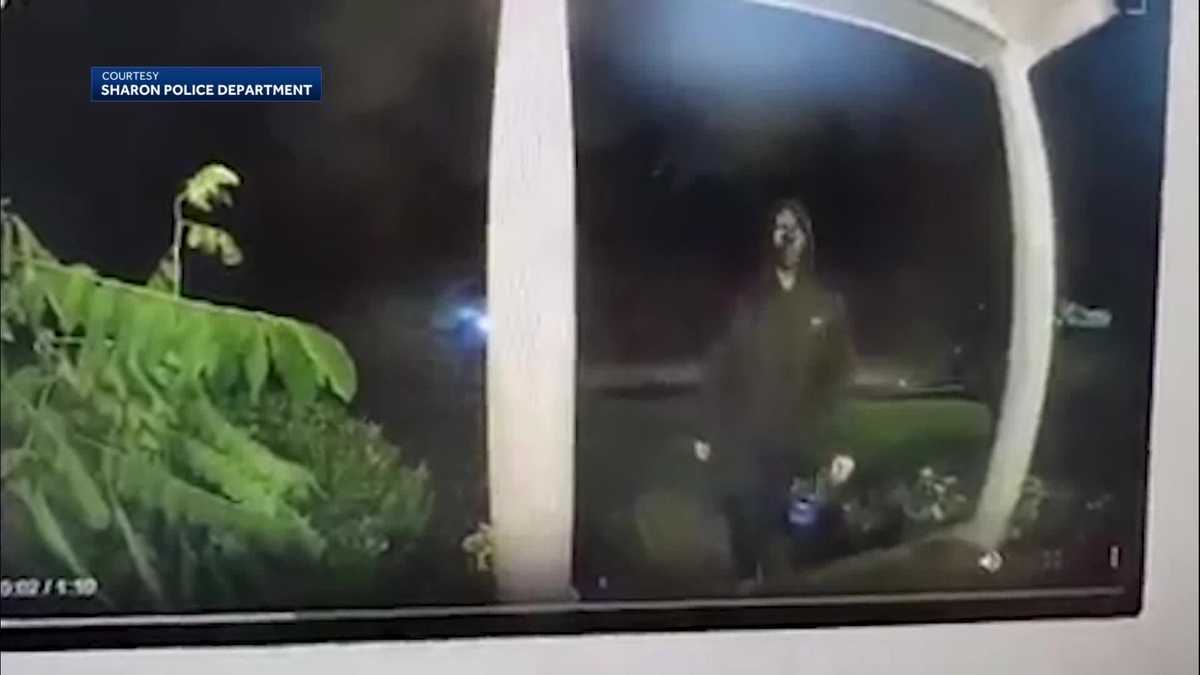 Halloween candy thief seen on video snatching trick-or-treat goodies