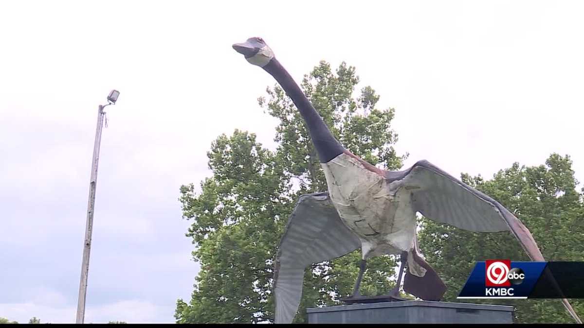 Sumner, Missouri's massive goose, Maxie, will be restored