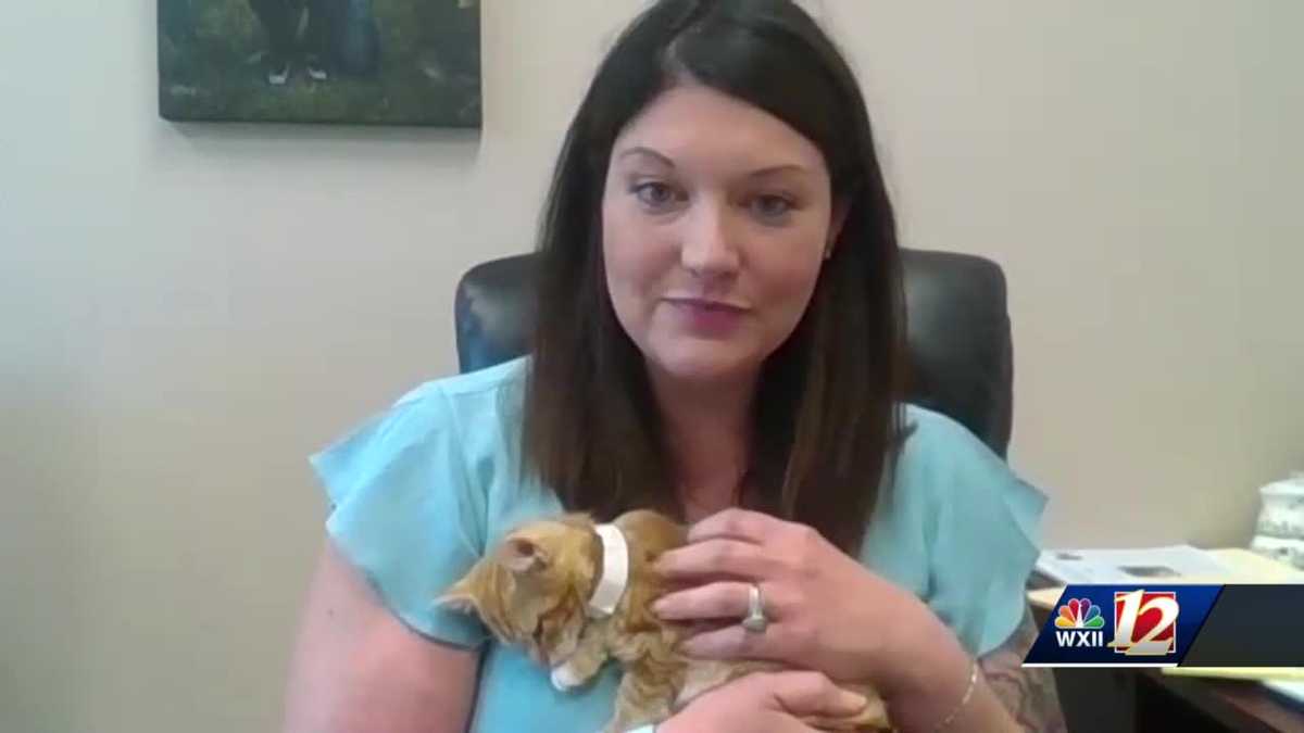 Pet of the Week: Darla