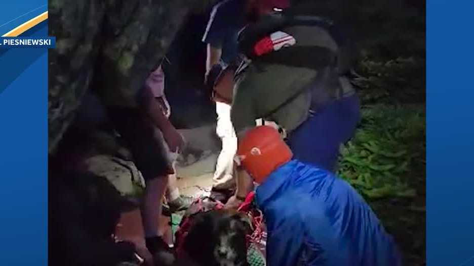 Dog recovering after good Samaritans rescue him off Mt. Jefferson