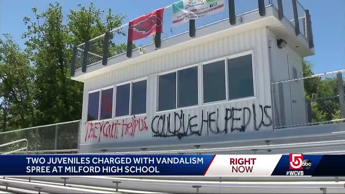 Teen graffiti vandals cause thousands of damage to school, fields