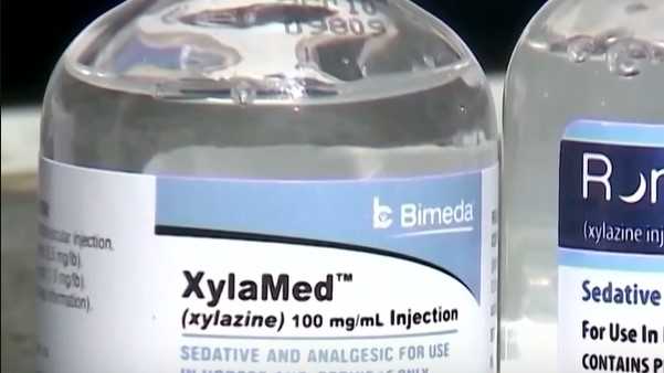 California officials warn of dangerous rise in 'zombie drug' use