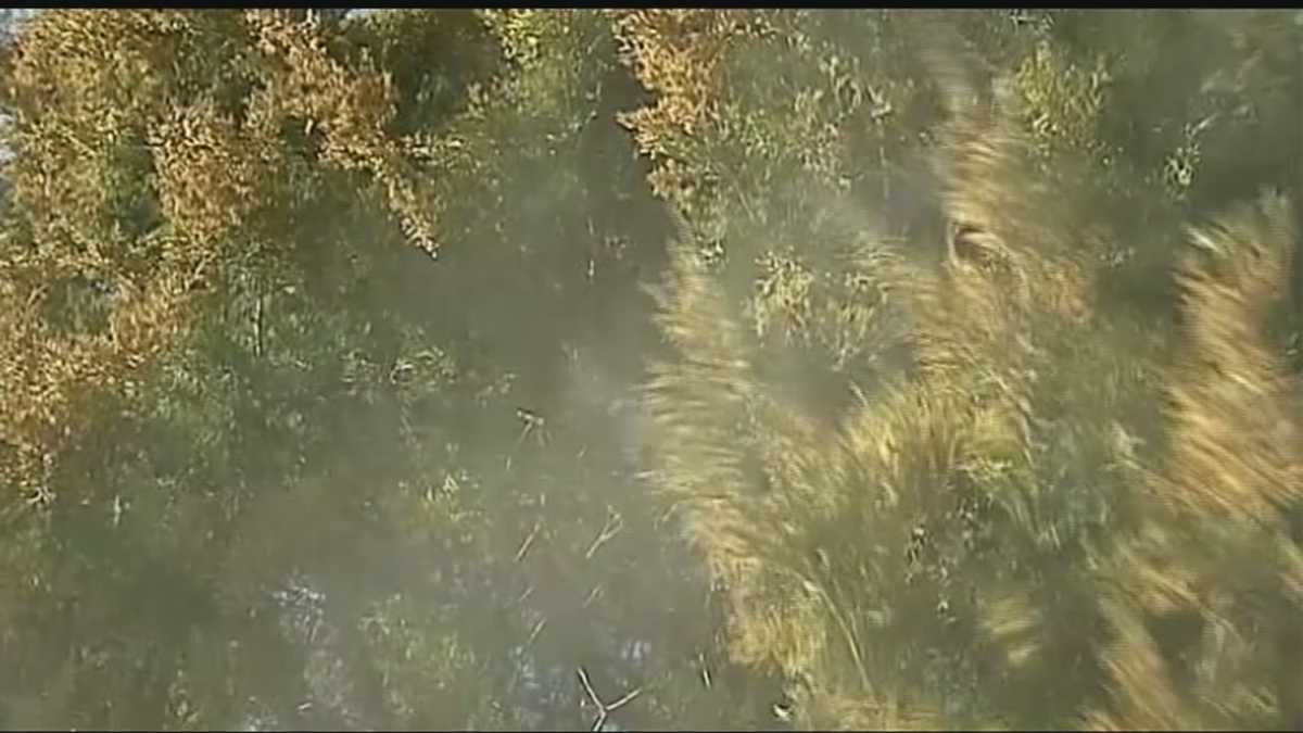 Pollen clouds seen around Oklahoma