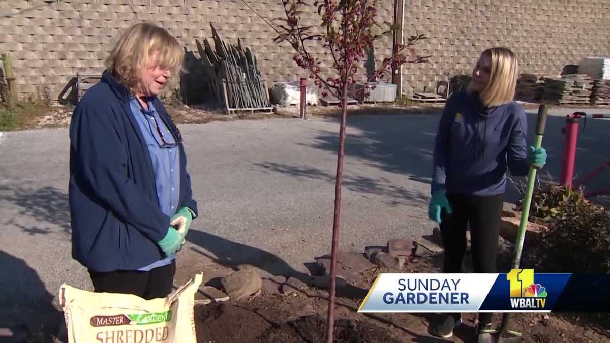 The importance of mulch this time of year
