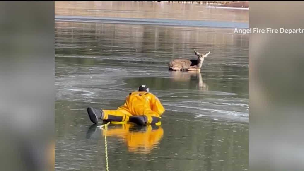 These are the videos you're going to want to watch from this week