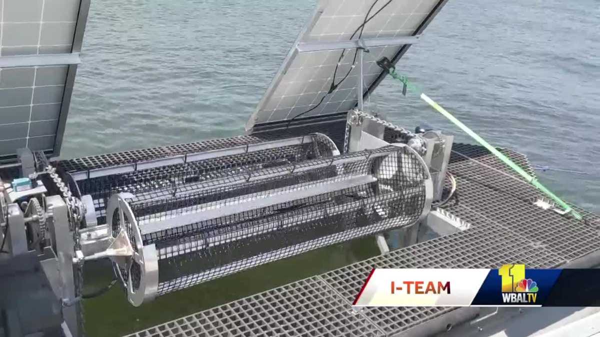 Solar Oysters creates high-tech way to farm oysters