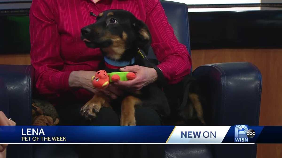 5/13 Pet of the Week: Lena