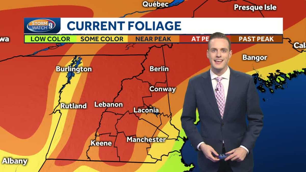 Watch: Overcast skies with improving weather into weekend