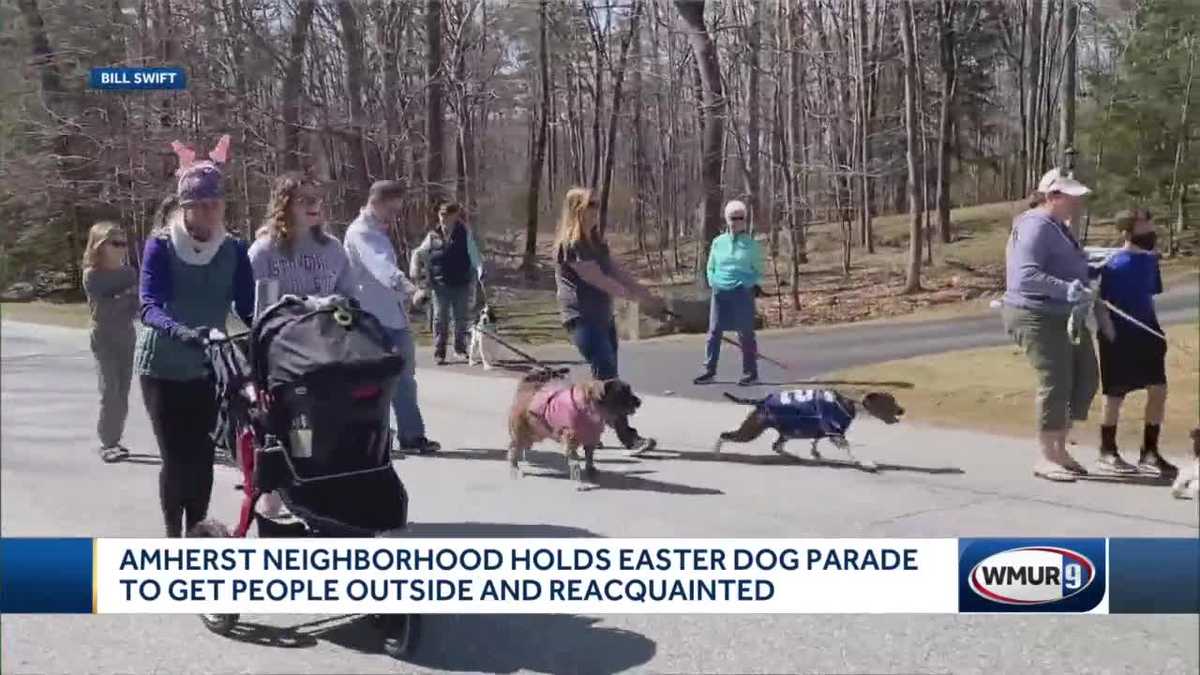 Amherst neighborhood holds Easter dog parade