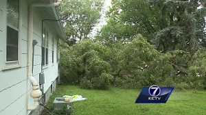 Tree falls close to south Omaha home - KETV