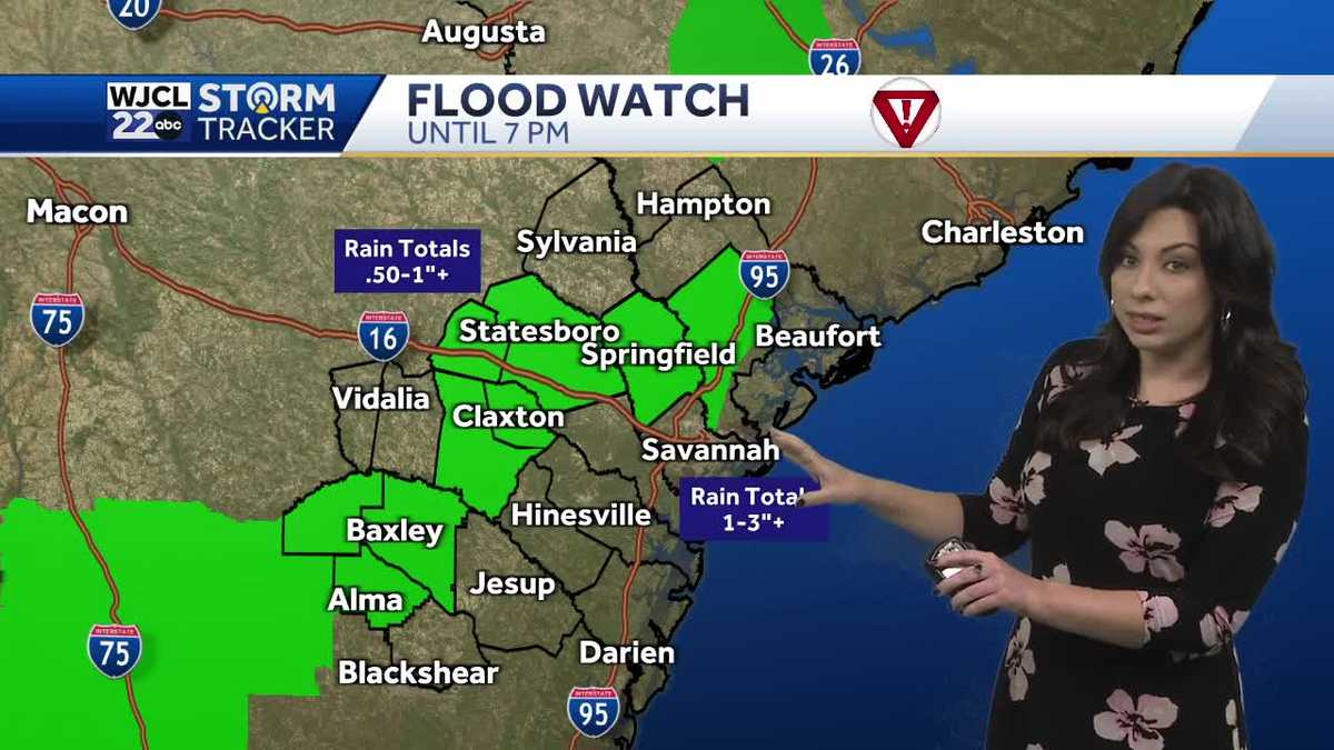Georgia: Flash flood warning issued for portions near the coast