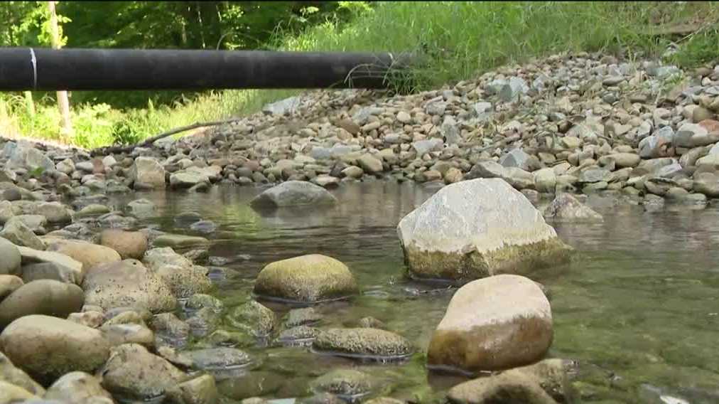 Fern Hollow Creek study underway to better Frick Park ecosystem