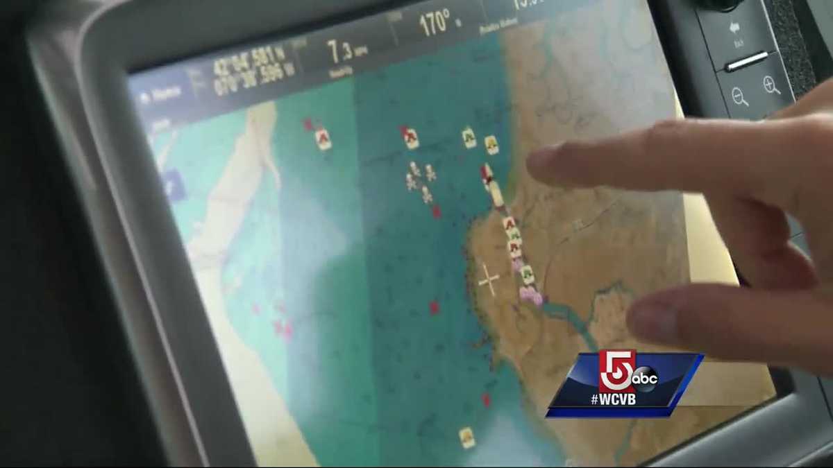 Marshfield harbormaster expects more shark sightings this year
