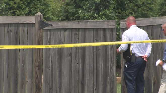 Man dies after being attacked by 2 dogs while dog sitting in North ...