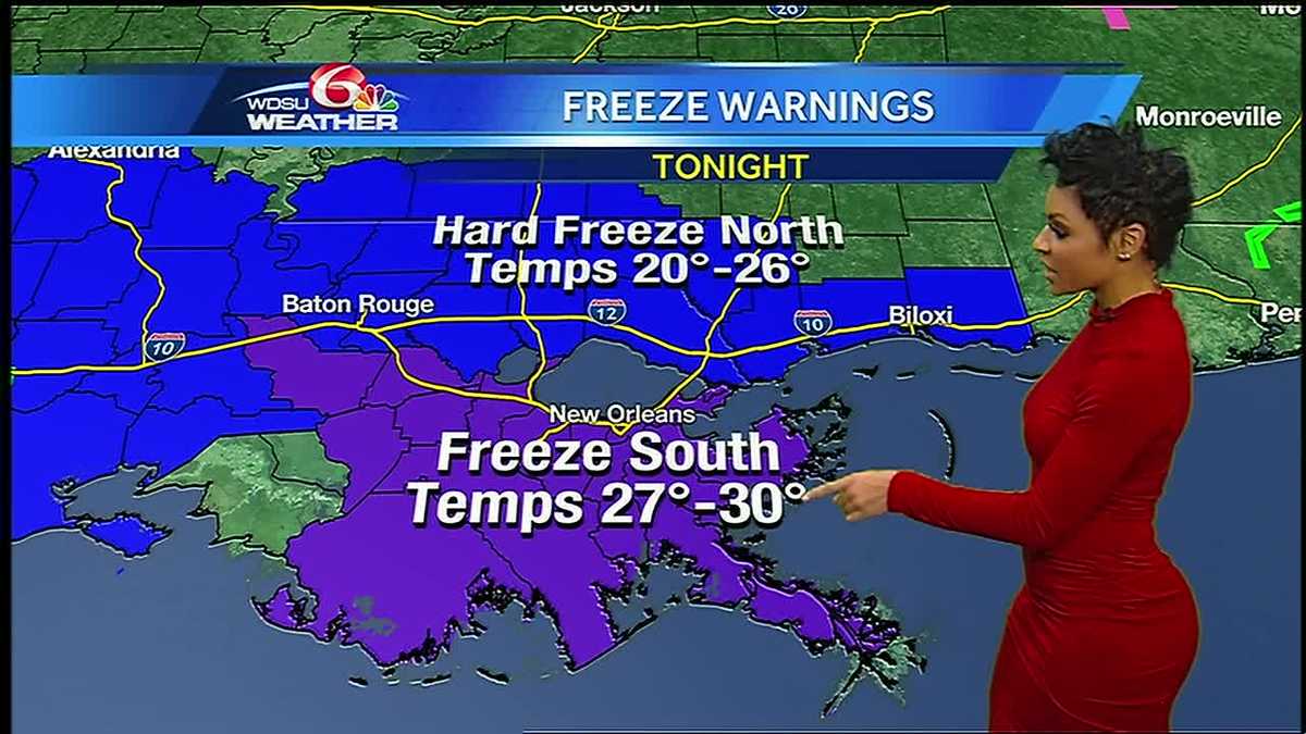 Friday: Cold rain, freeze warnings kick in (brrrrr!)