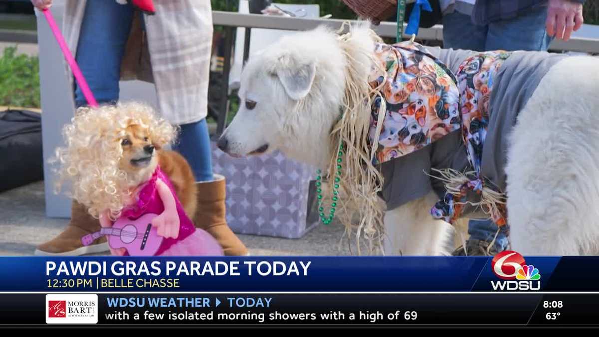 Louisiana SPCA's annual pet parade returns Sunday