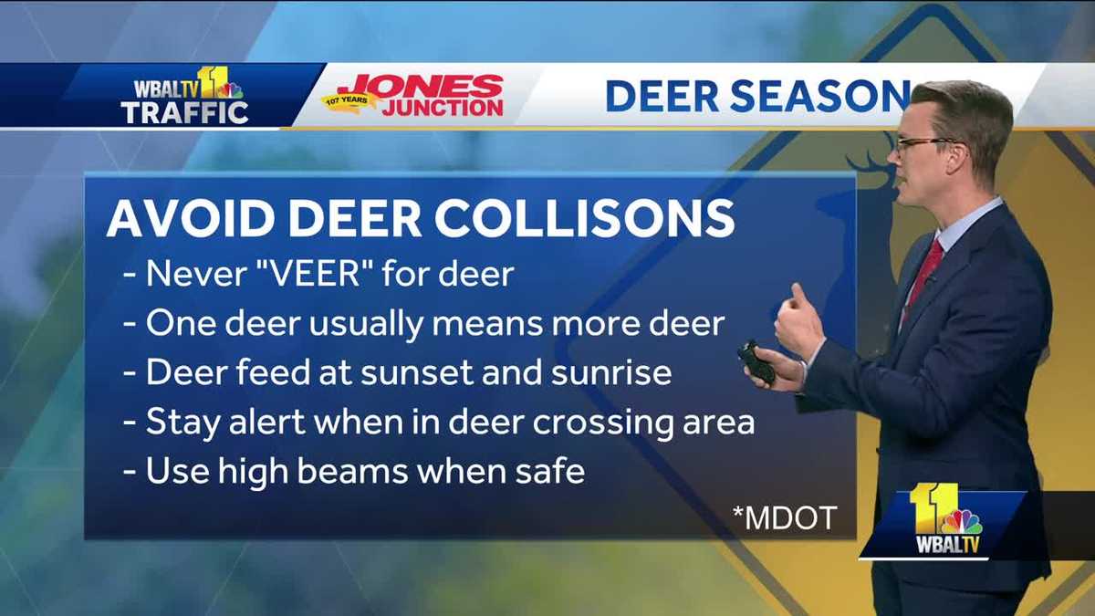 Deer safety tips on Maryland roads