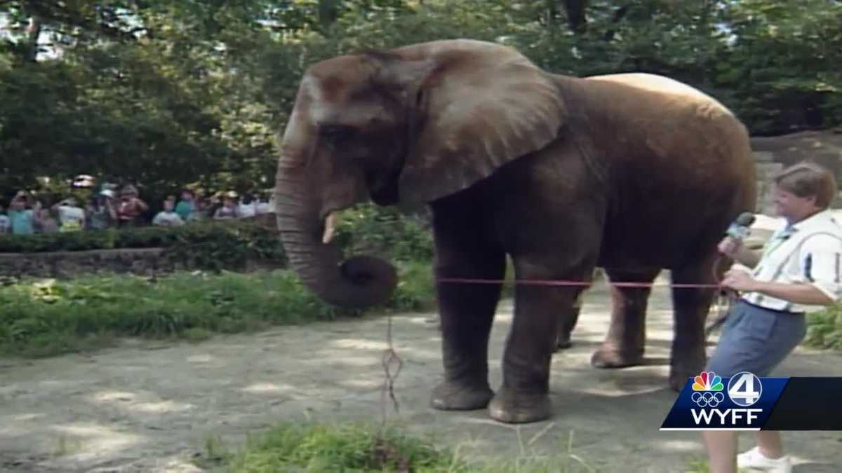 Throwback to 1994: John on the Road with an elephant
