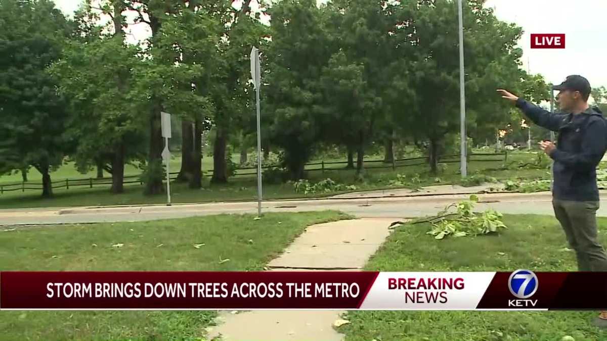 STORM CLEANUP: Metro drop-off sites for tree debris