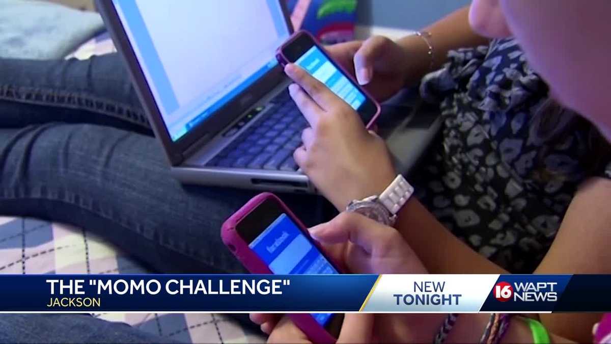 Parents concerned over Momo Challenge