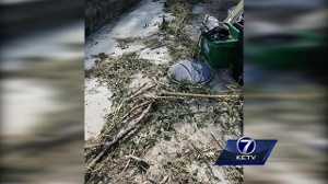 Crews dump debris on lawn after dust-up over payment - KETV