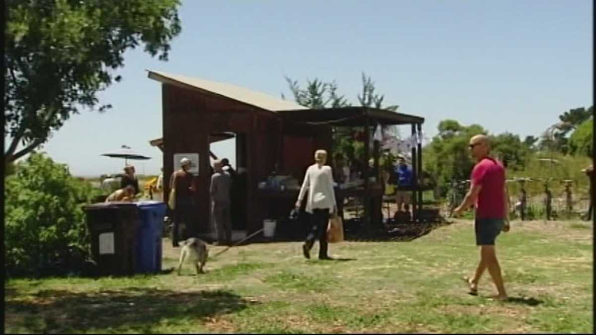 Homeless garden project in Santa Cruz
