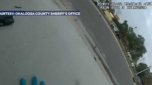 Florida deputy mistakes falling acorn for gunshot, fires into car