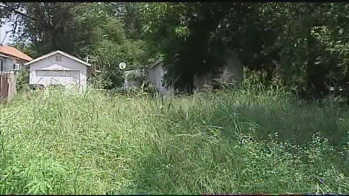 Tall grass complaint calls overwhelming code enforcers