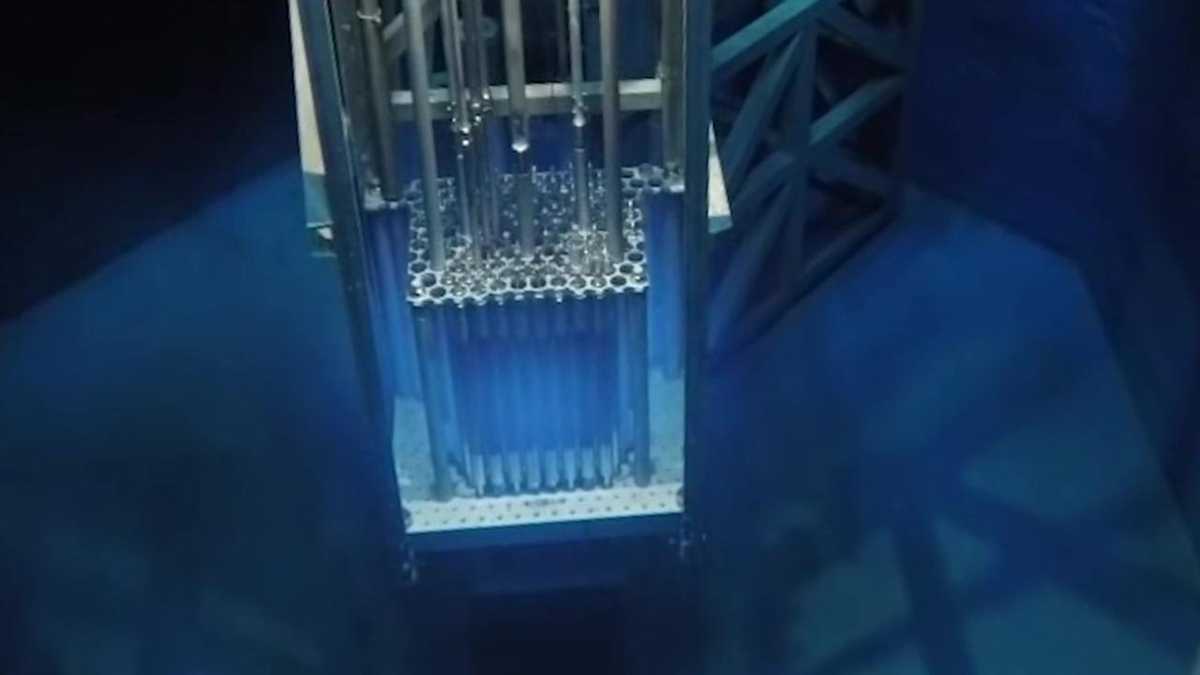 GoPro camera gets close-up view of nuclear reactor
