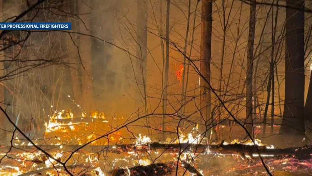 Firefighters respond to brush fire in Brentwood