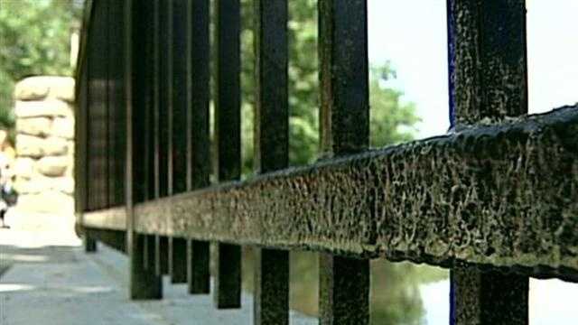 Heavy pollen triggers allergies