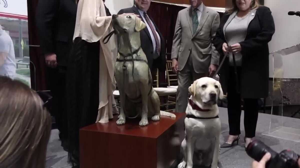 Sully's statue unveiled at Bush presidential library