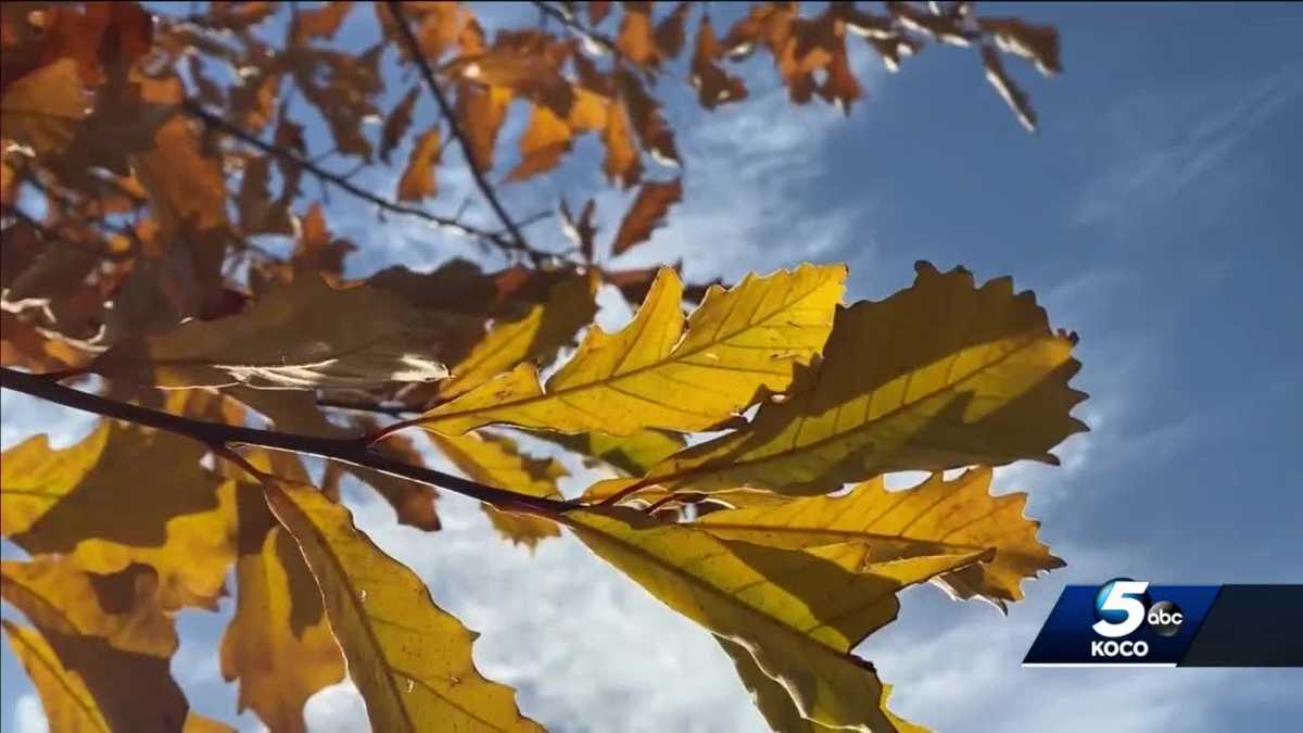 How has recent heavy frost impacted on fall colors in Oklahoma?