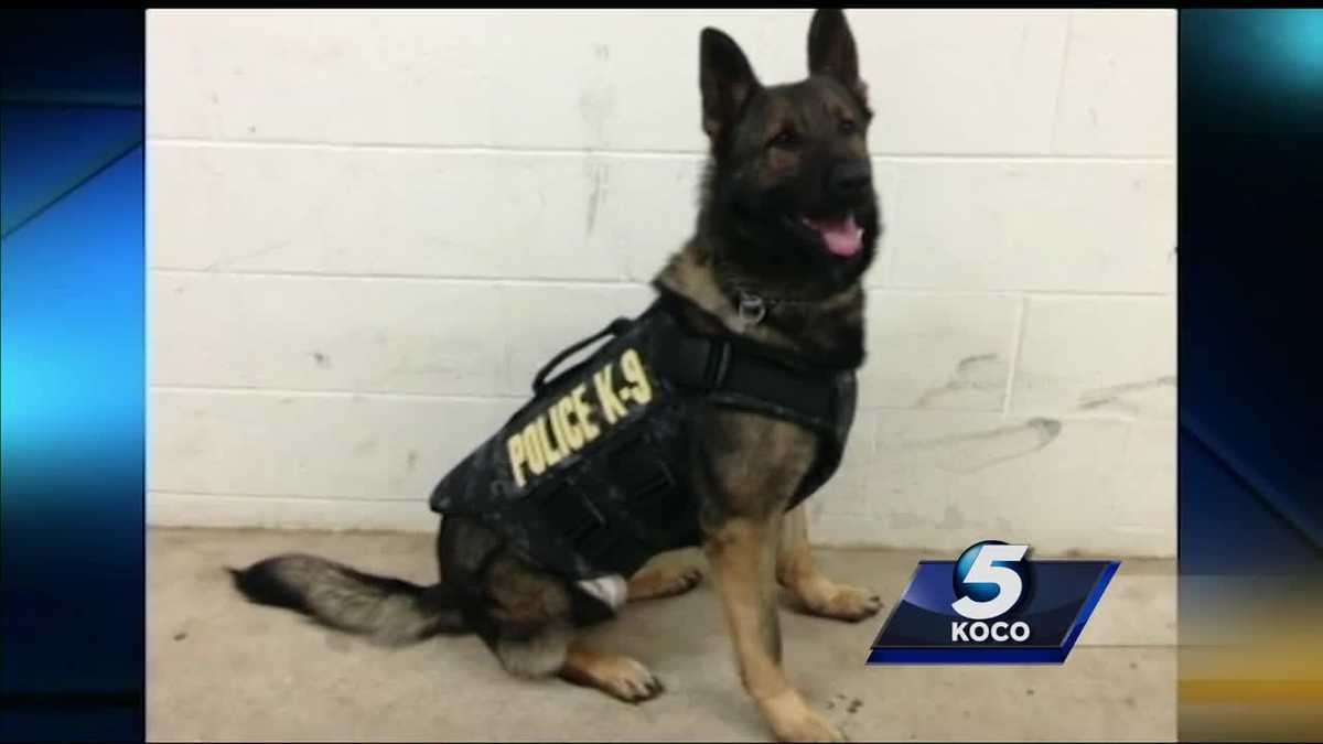 Fallen K9 officer’s legacy lives on by raising money for other police dogs