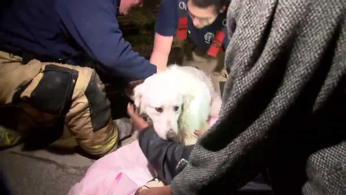 Crews dig to rescue dog from Tulsa storm drain