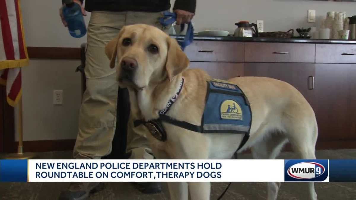 Roundtable held on police comfort, therapy dogs