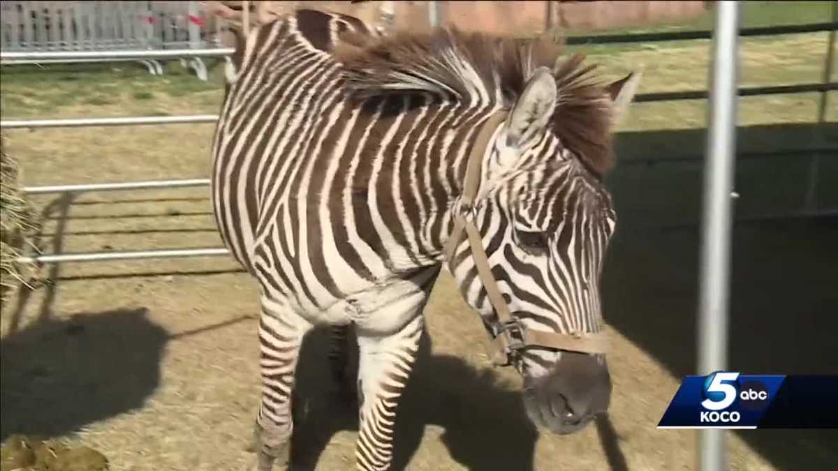 Remington Park in Oklahoma City set for Extreme Racing