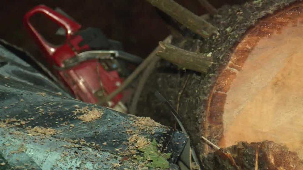 Girl killed by fallen tree during storms in Maine
