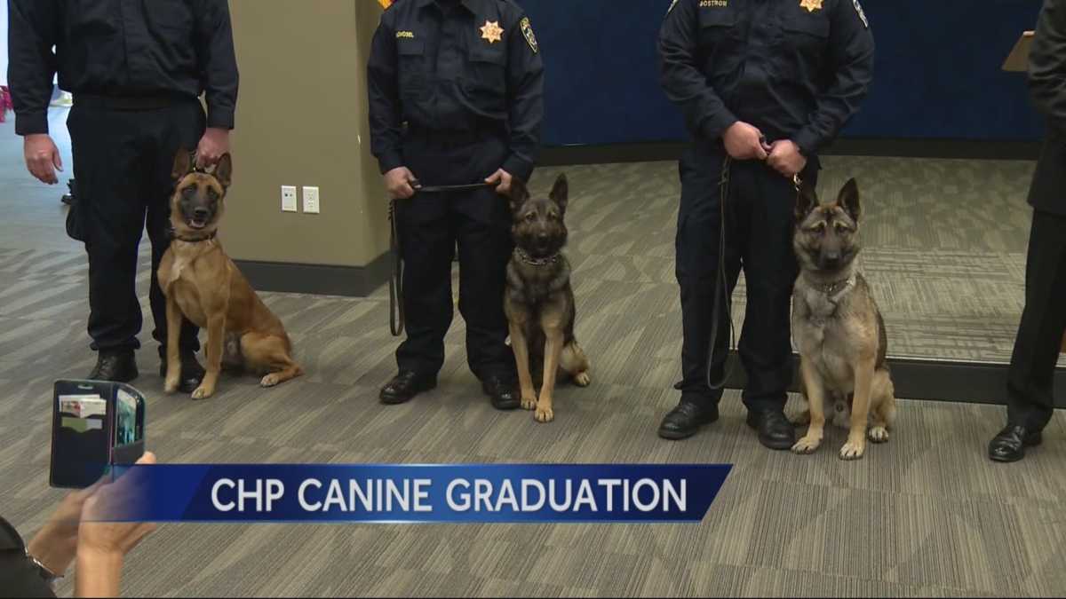 CHP K9 officers, handlers graduate training