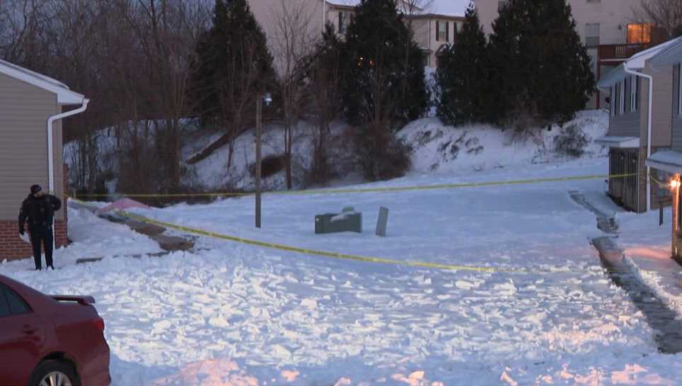 Spring Grove murder-suicide: Coroner identifies 2 killed