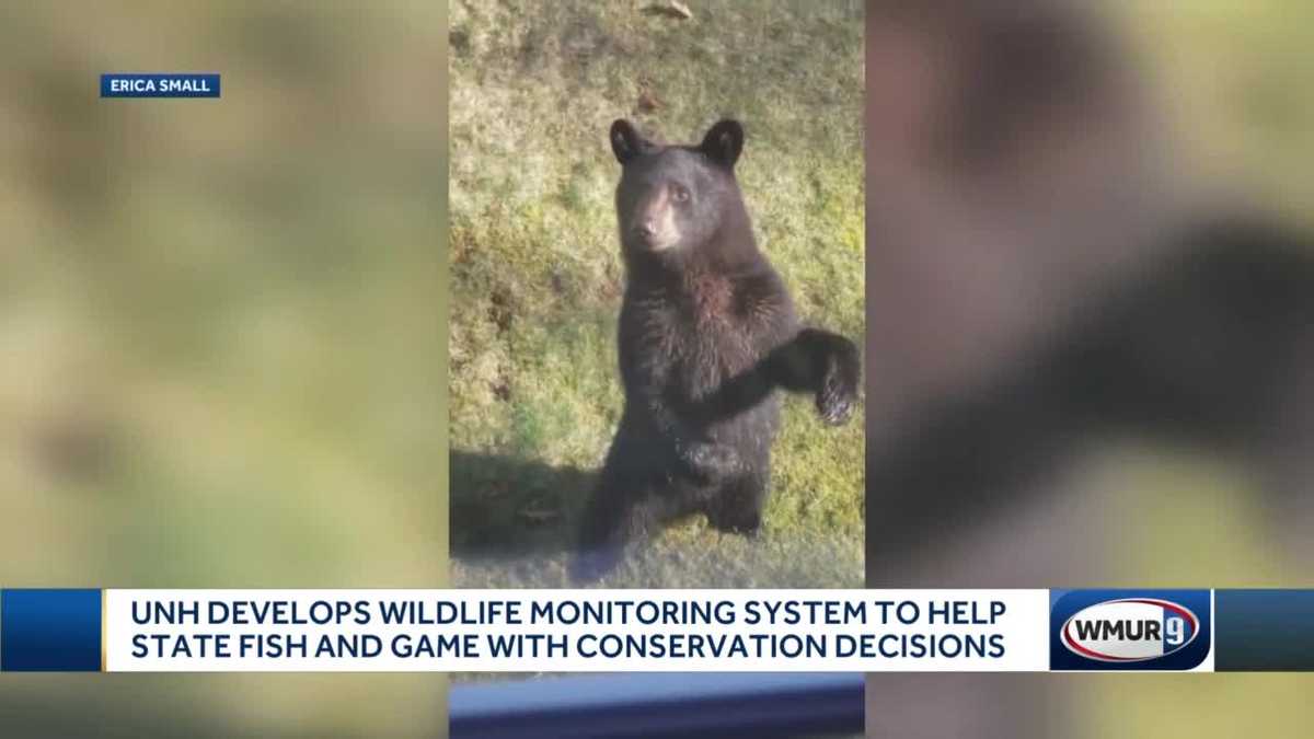 University of New Hampshire launches wildlife monitoring system
