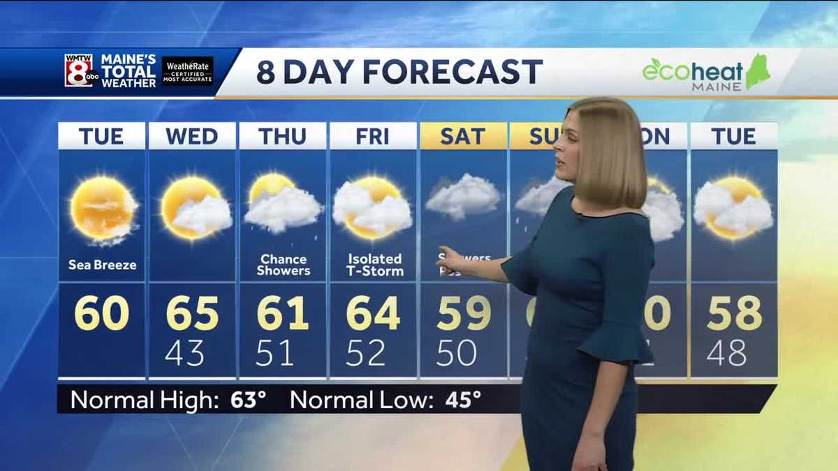 Filtered sunshine and mild temps