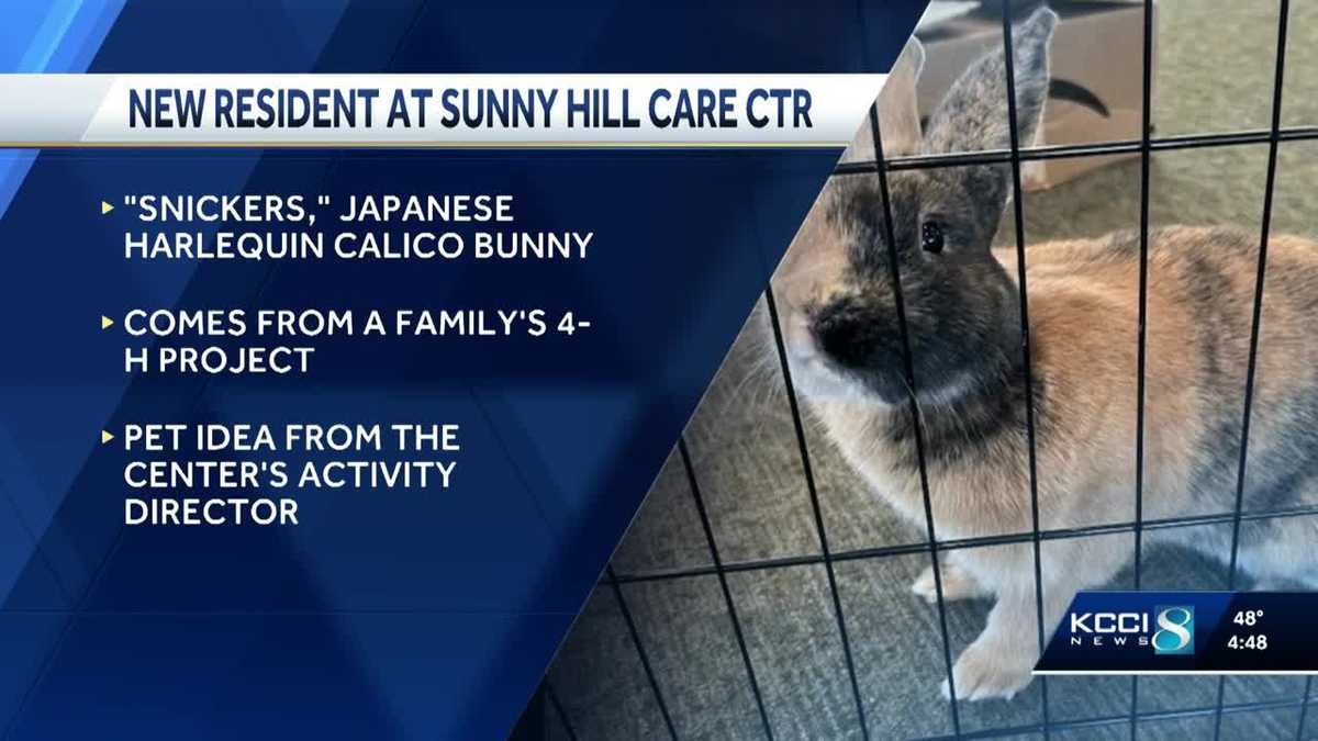 Residents at Sunny Hill Care Center in Tama, Iowa, love their new pet ...