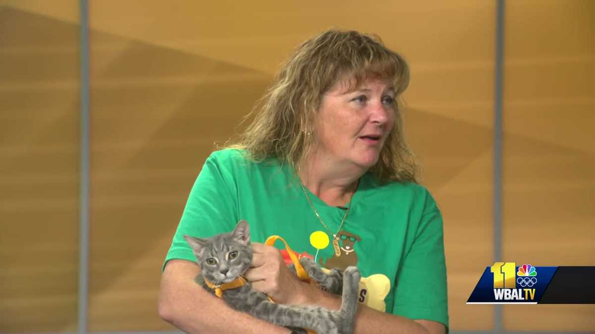 Maryland SPCA seeking animal donations